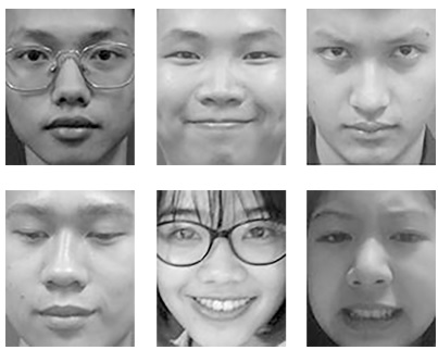 The problem of classifying facial emotional states - Information ...